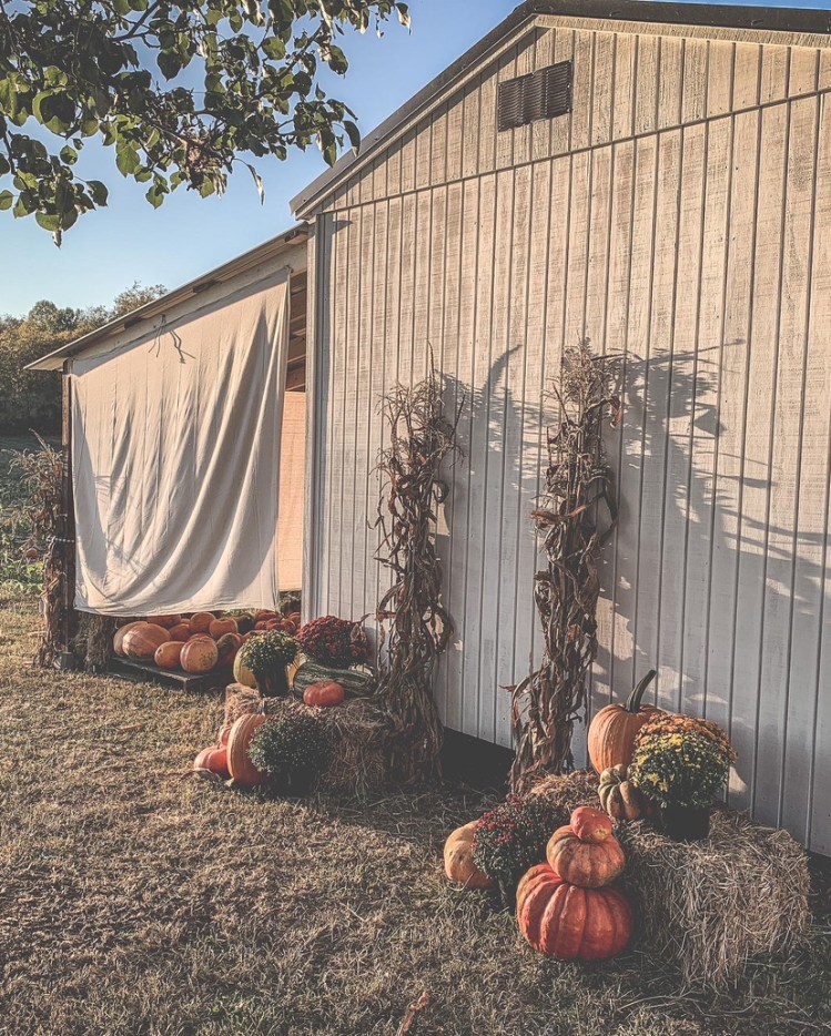 Seasonal Attractions – Dirt Poor Farm